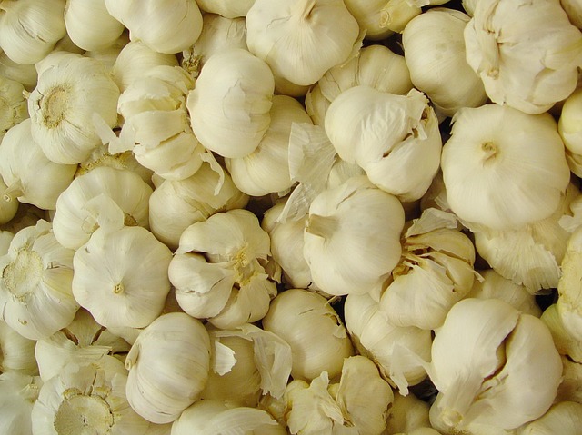 Garlic – A Quick Glimpse of Its Evolution as an Ingredient of ...